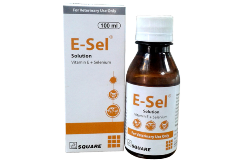 E-Sel Solution 500 ml - Poultry Nutrition Supplement-AgroMukam