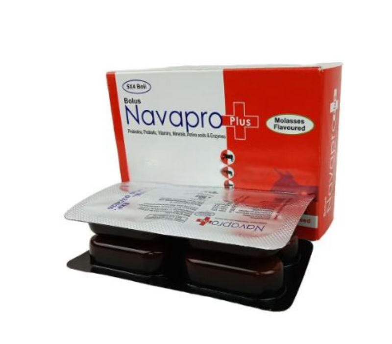 Navapro Plus -5x4's - Boost Your Cattle's Health and Performance-AgroMukam