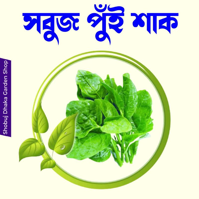 Hybrid Shobuj Pui Shak Seeds - The Ultimate Vegetable Solution-AgroMukam